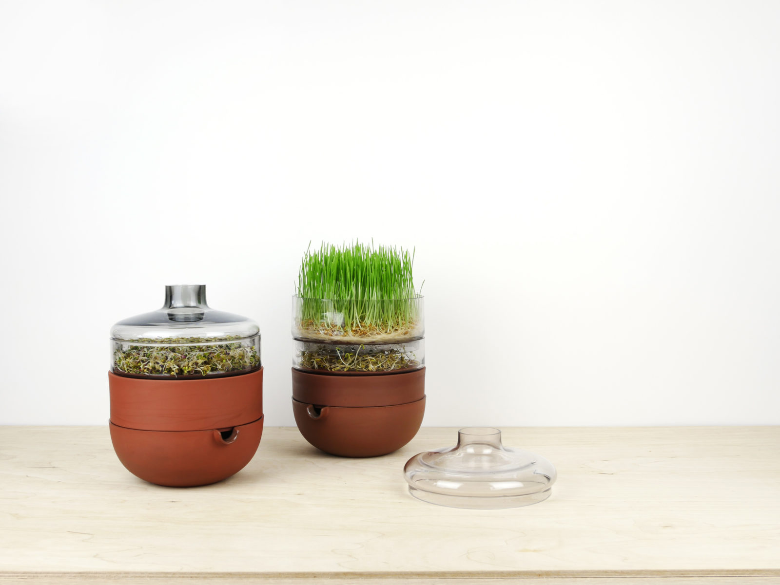 myGROW - German Design Graduates